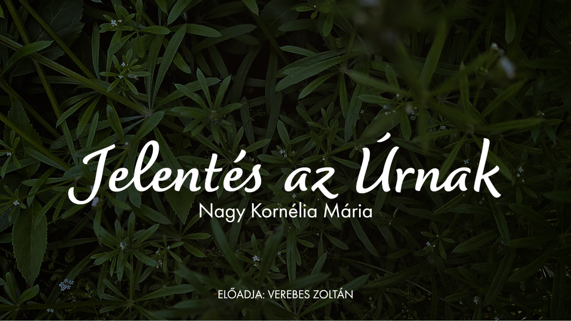 Vers az Áhítathoz | Nagy Kornélia Mária: Jelentés az Úrnak ...